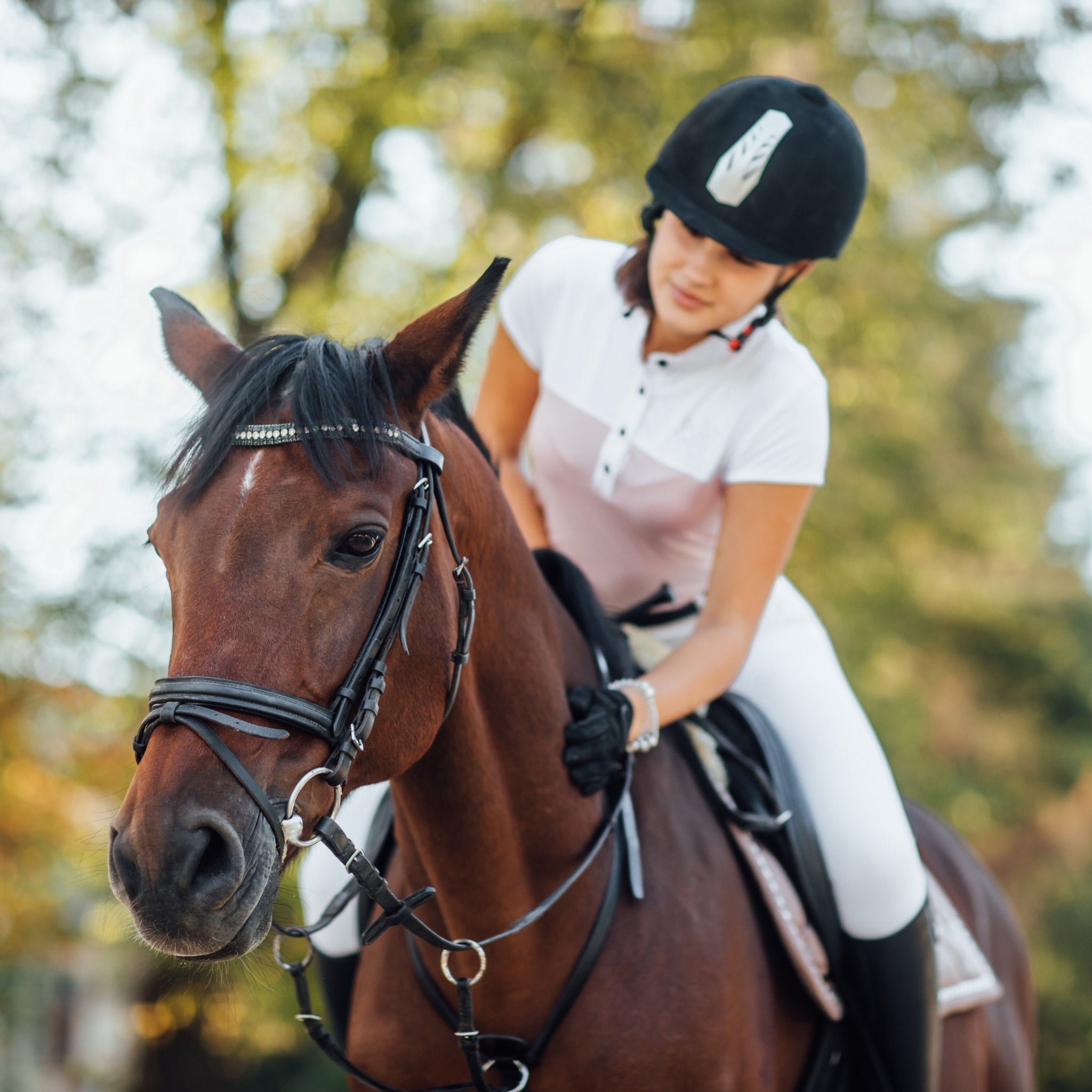 English vs. Western Tack: Key Differences Explained