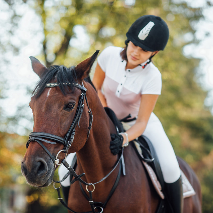 English vs. Western Tack: Key Differences Explained