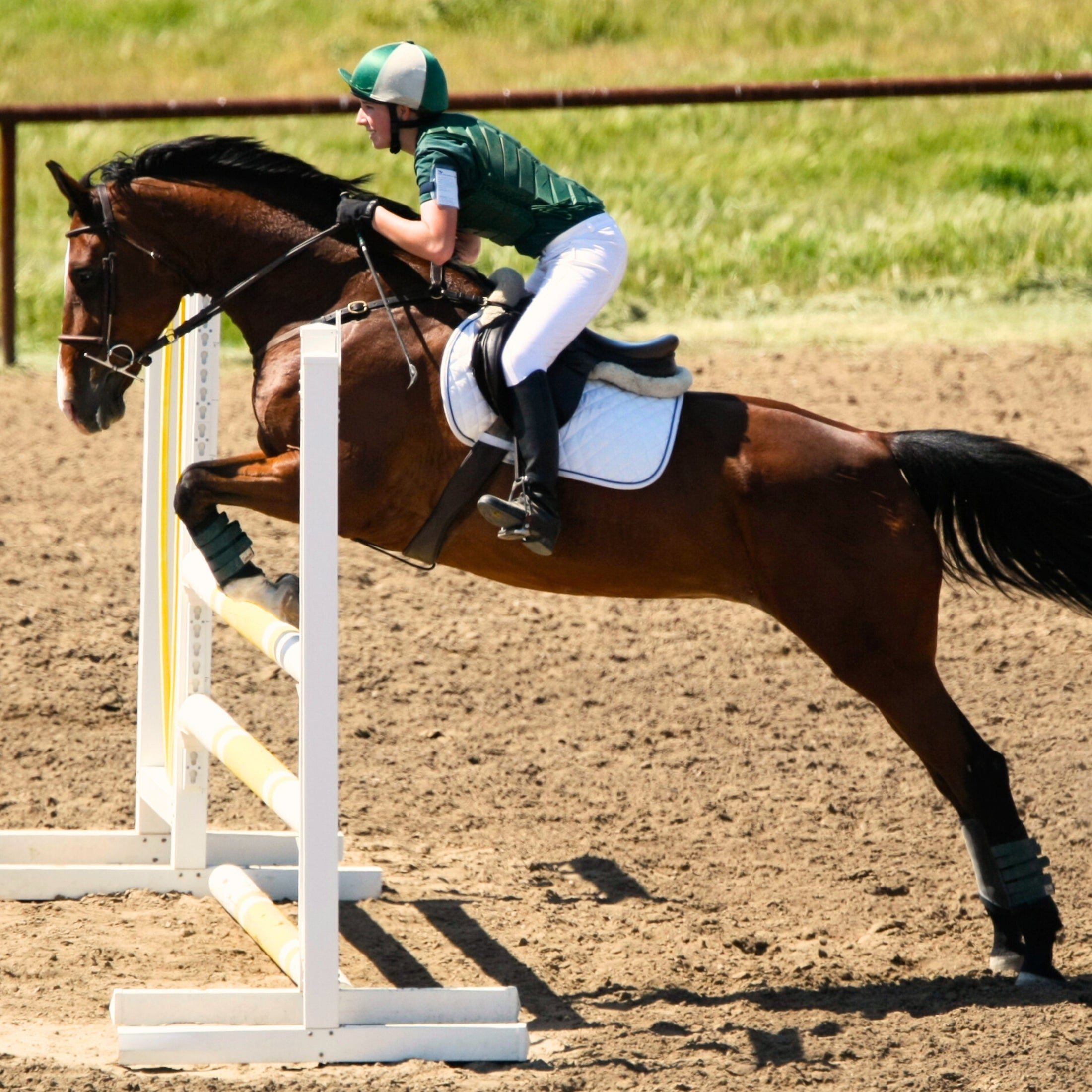A Comprehensive Guide to Equestrian Competition Types: Show Jumping ...