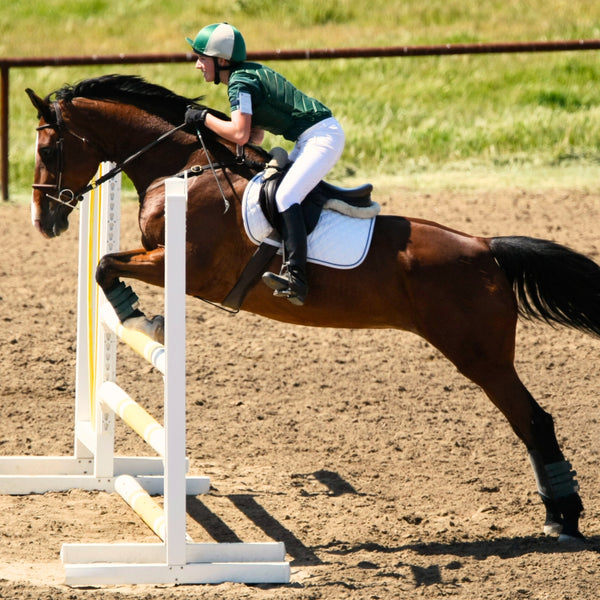 A Comprehensive Guide to Equestrian Competition Types: Show Jumping ...